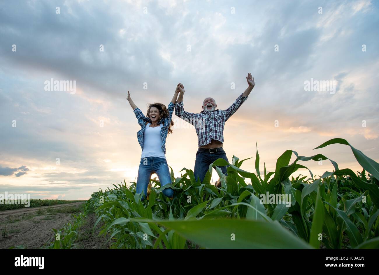 Mature farmer and young woman jumping in corn field Stock Photo - Alamy
