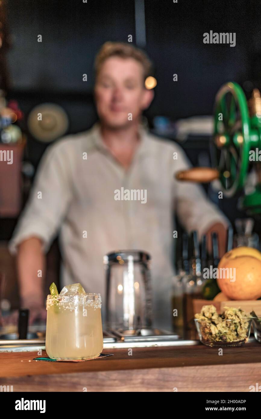 View of a bartender standing behind the counter in a small cocktail bar ...