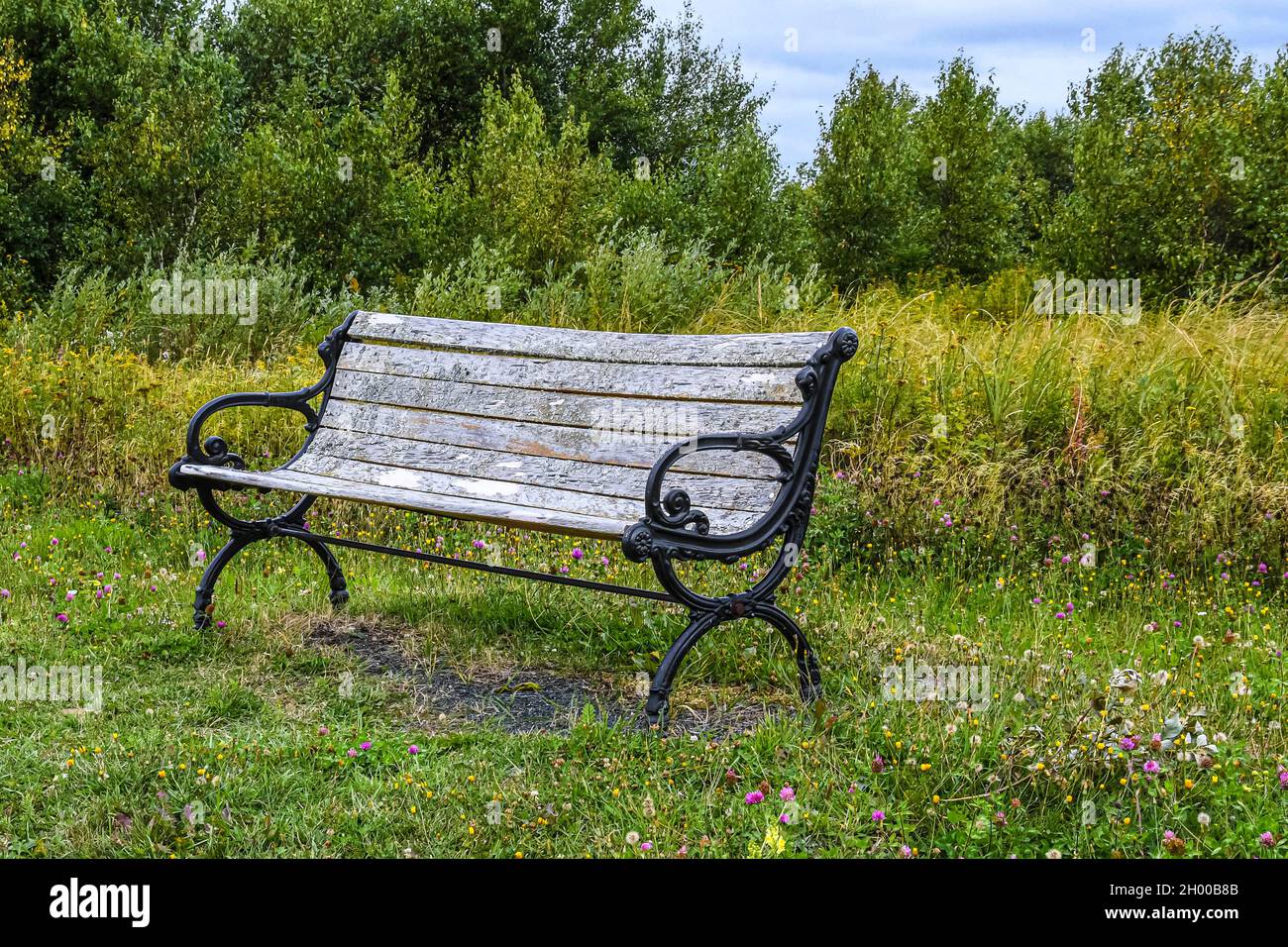 Empty wooden and wrought iron bench on a background of fields, forests ...