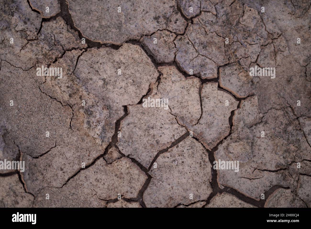 Land crack hi-res stock photography and images - Alamy