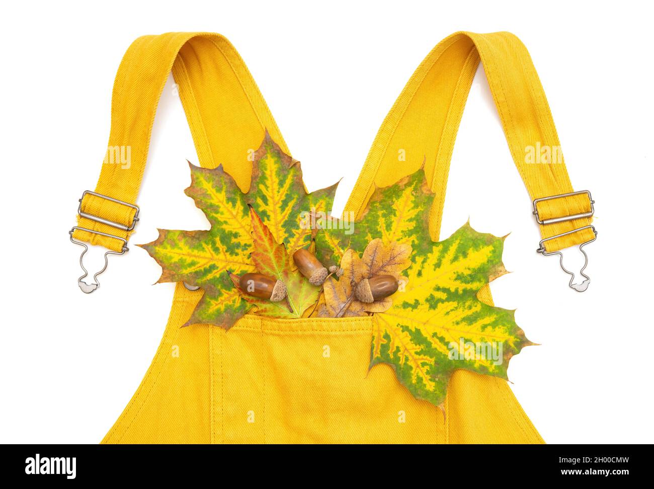 Yellow overall with autumn leaves and acorns in the pocket isolated on ...