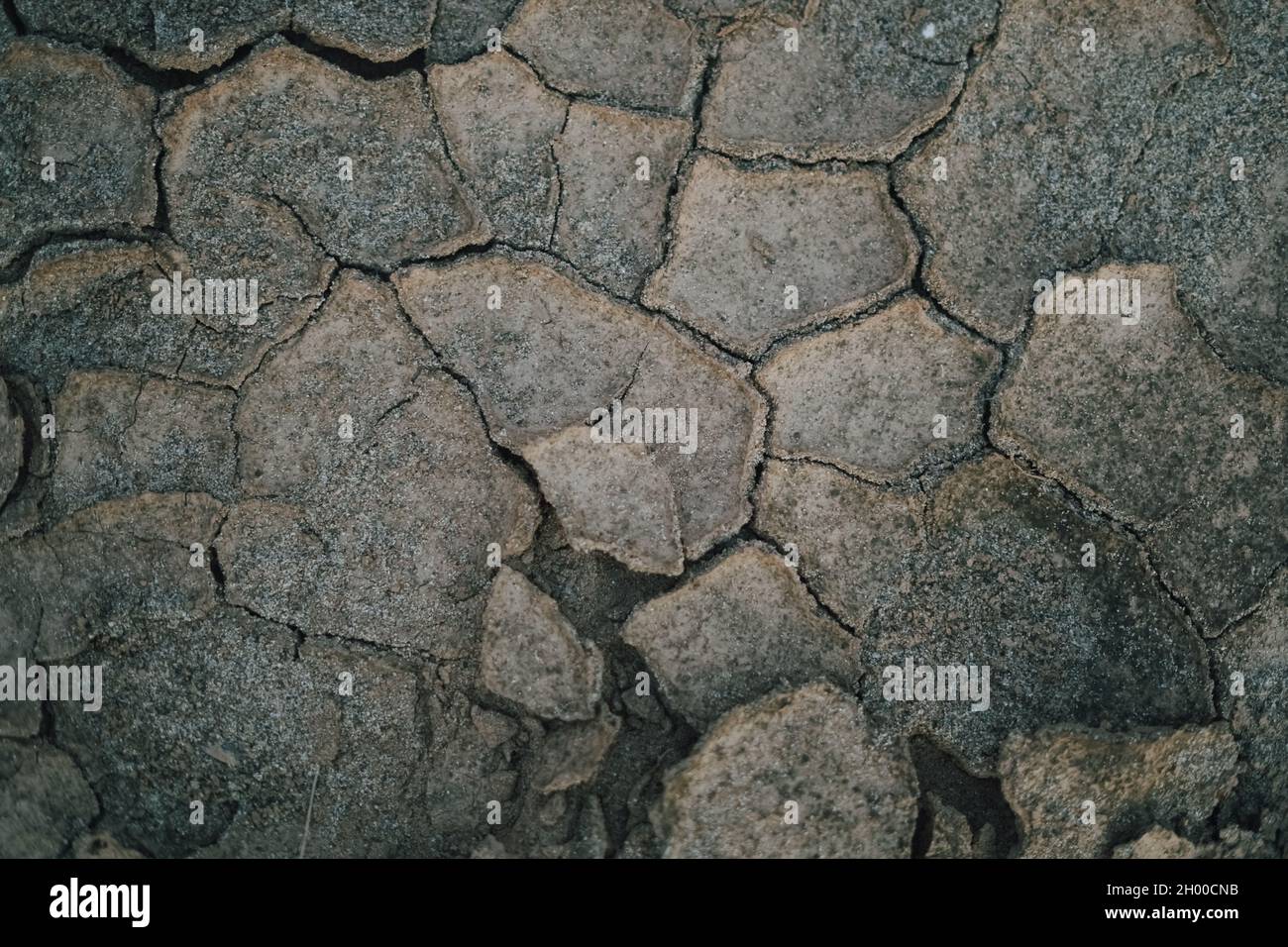 Land Crack Land Broken desert Land Stock Photo - Alamy