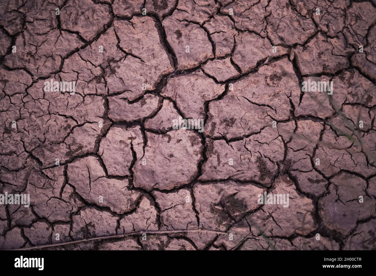 Land Crack Land Broken desert Land Stock Photo - Alamy