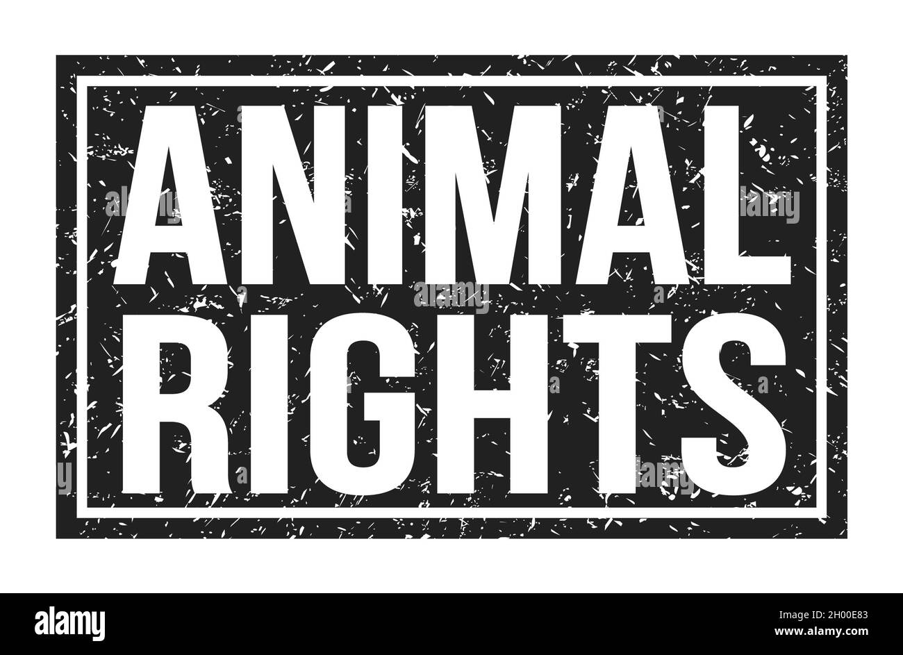 ANIMAL RIGHTS, words written on black rectangle stamp sign Stock Photo ...