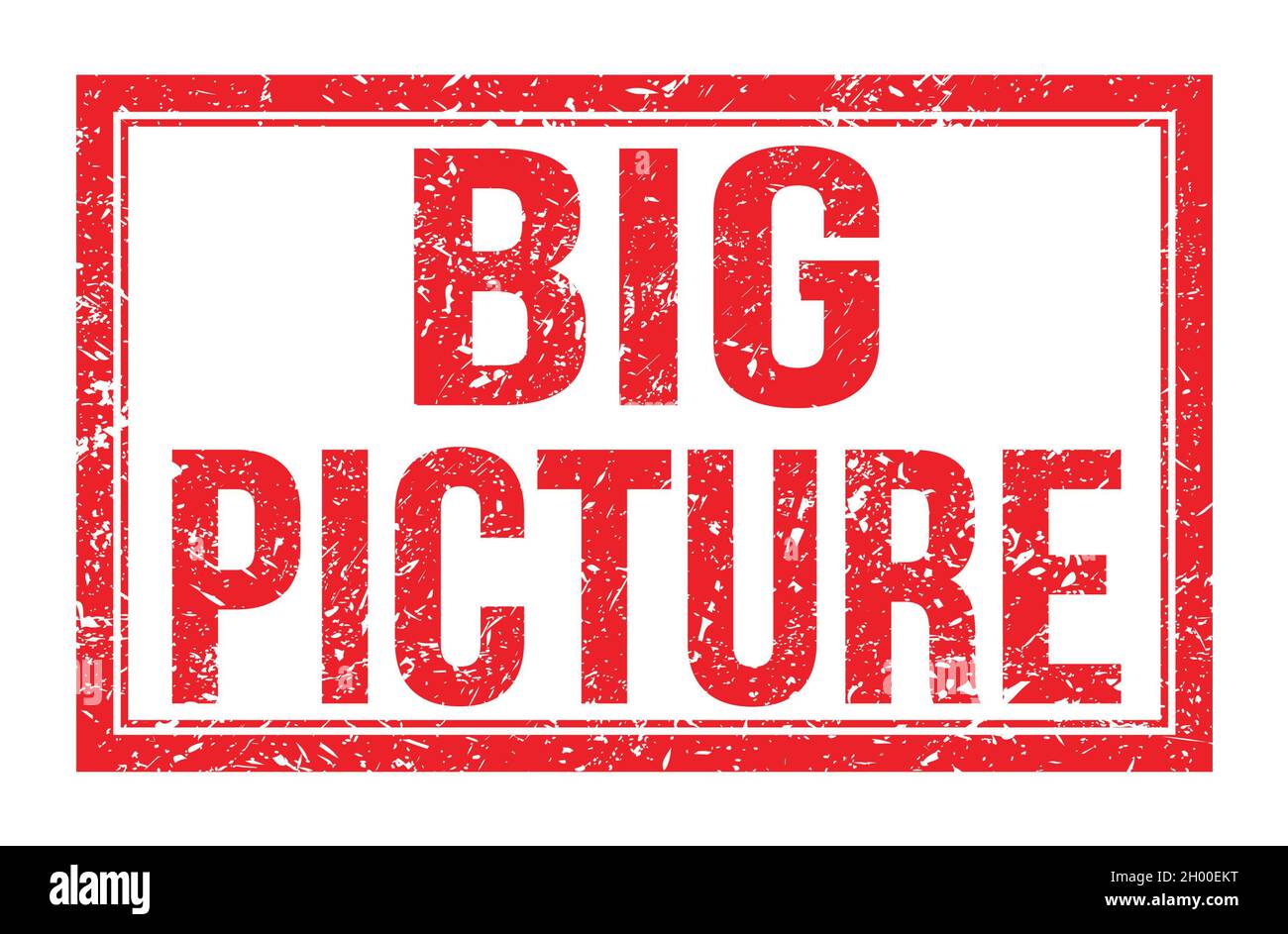 BIG PICTURE, words written on red rectangle stamp sign Stock Photo - Alamy
