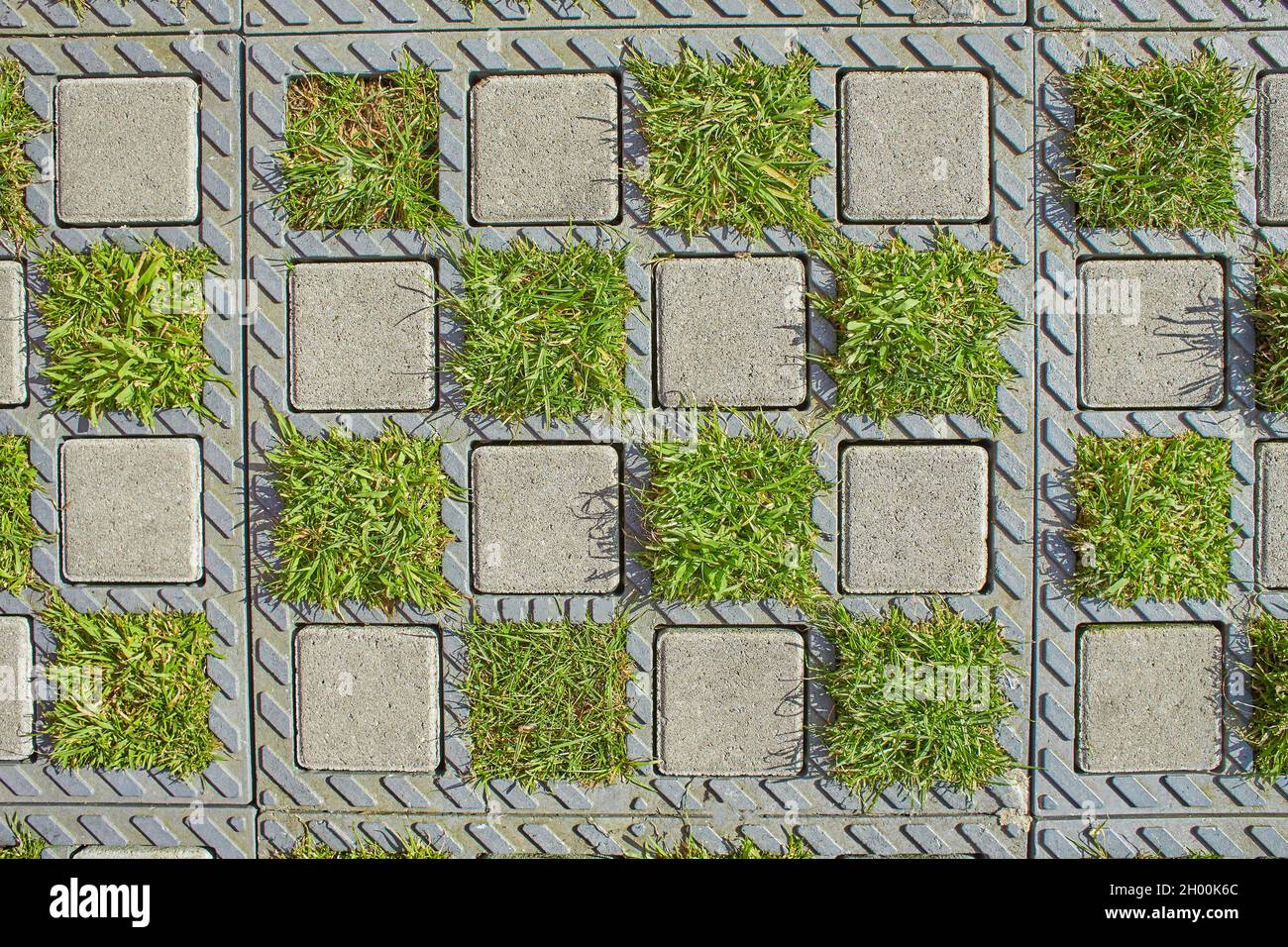 Sample of brick pavement with grass Stock Photo - Alamy