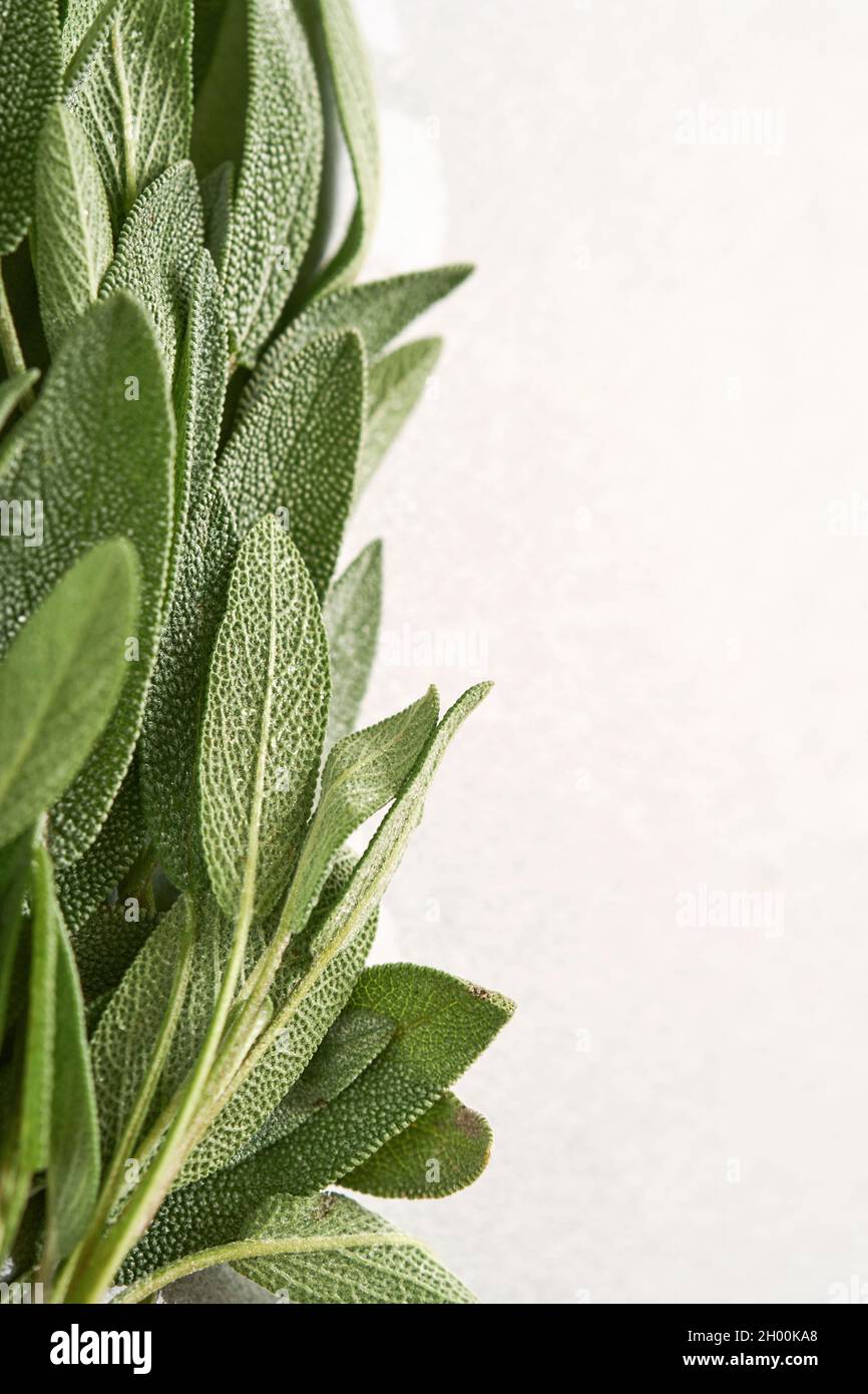 Sage green abstract art hi-res stock photography and images - Alamy