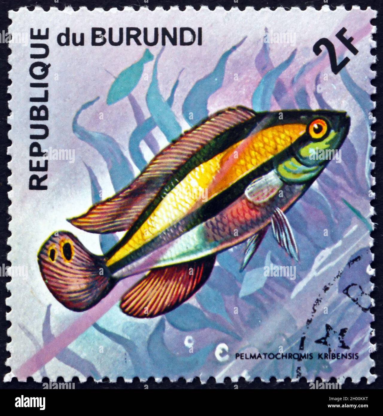 BURUNDI - CIRCA 1974: a stamp printed in Burundi shows Kribensis ...
