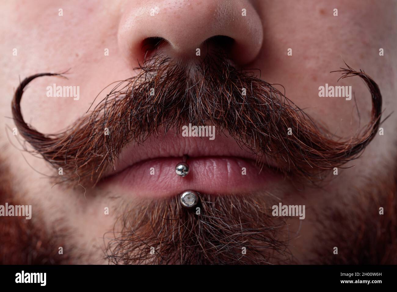 close up close up of mustache and beard with piercings, the mustache is ...