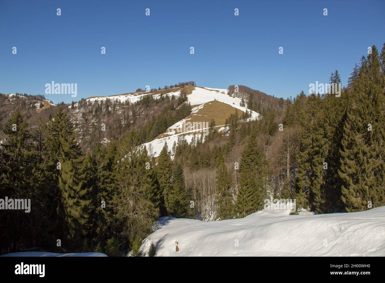 Goldingen switzerland hi-res stock photography and images - Alamy