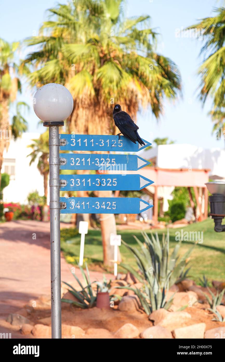 Old raven street hi-res stock photography and images - Alamy