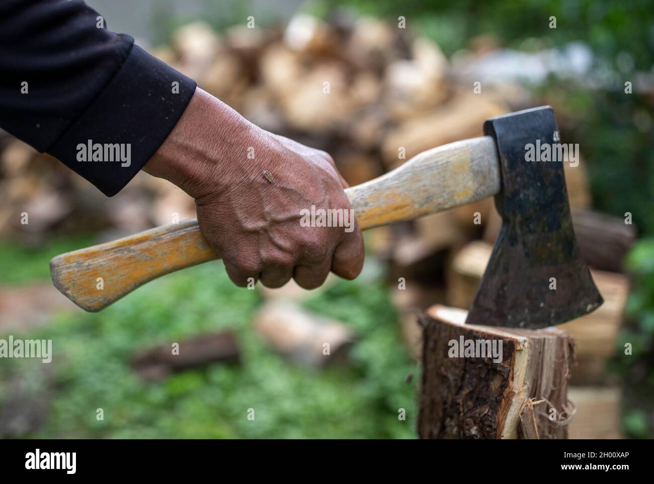 Close up of old man's hand holding ax and splitting woods in backyard ...