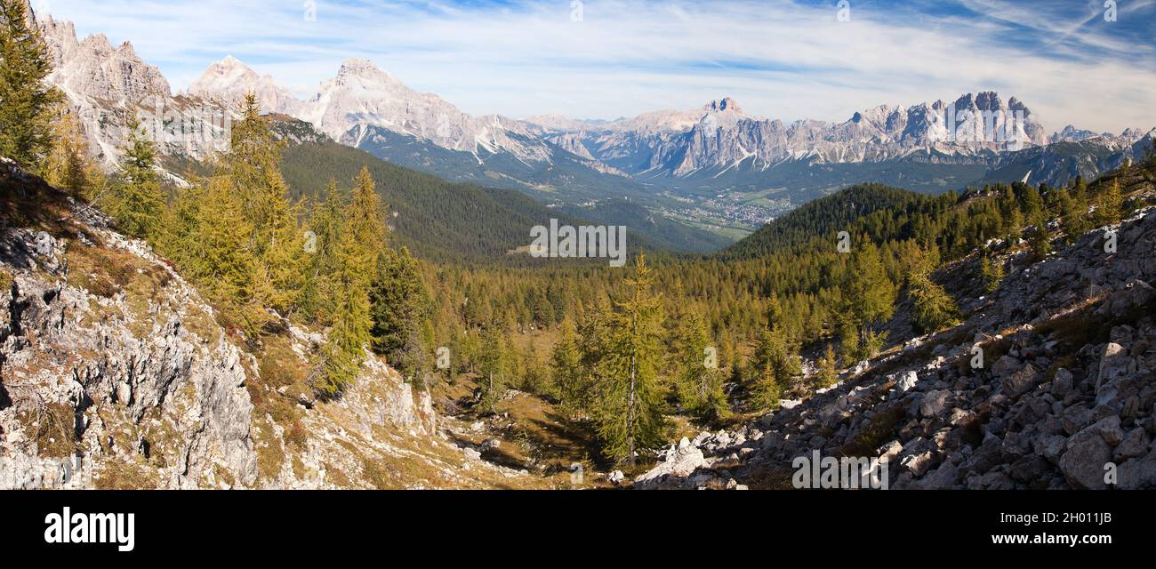 Top view european larch tree High Resolution Stock Photography and ...