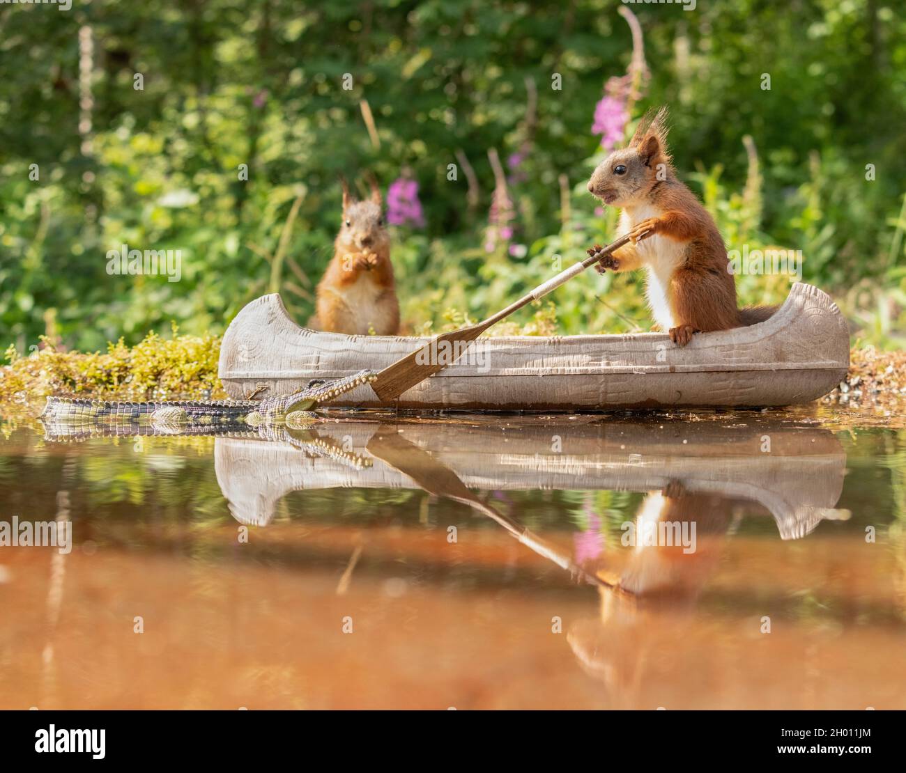 Canoo boat hi-res stock photography and images - Alamy