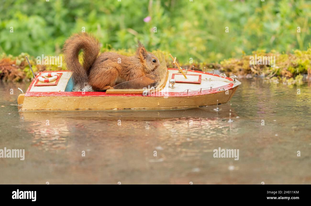 Standing in speedboat hi-res stock photography and images - Alamy
