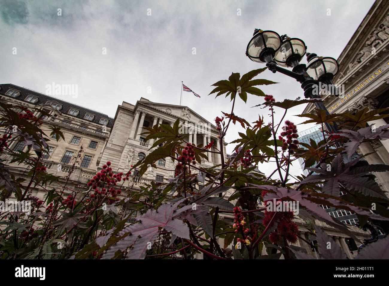 Bank of England Threadneedle Street London with green and red plants in ...
