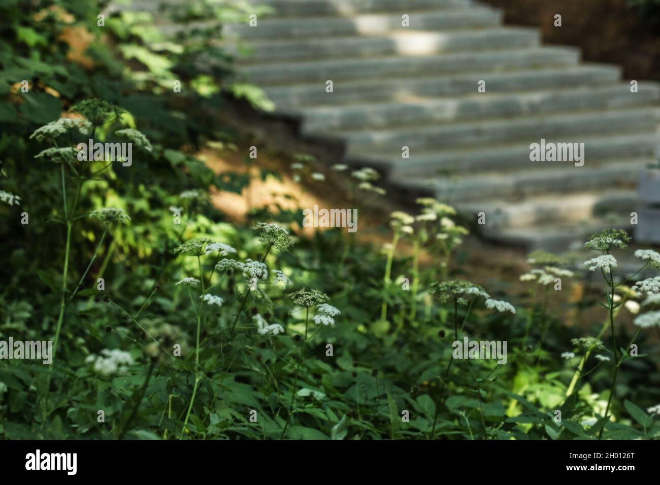 Real stairs hi-res stock photography and images - Alamy