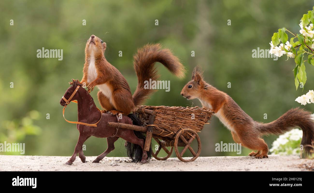 Spring chariot hi-res stock photography and images - Alamy