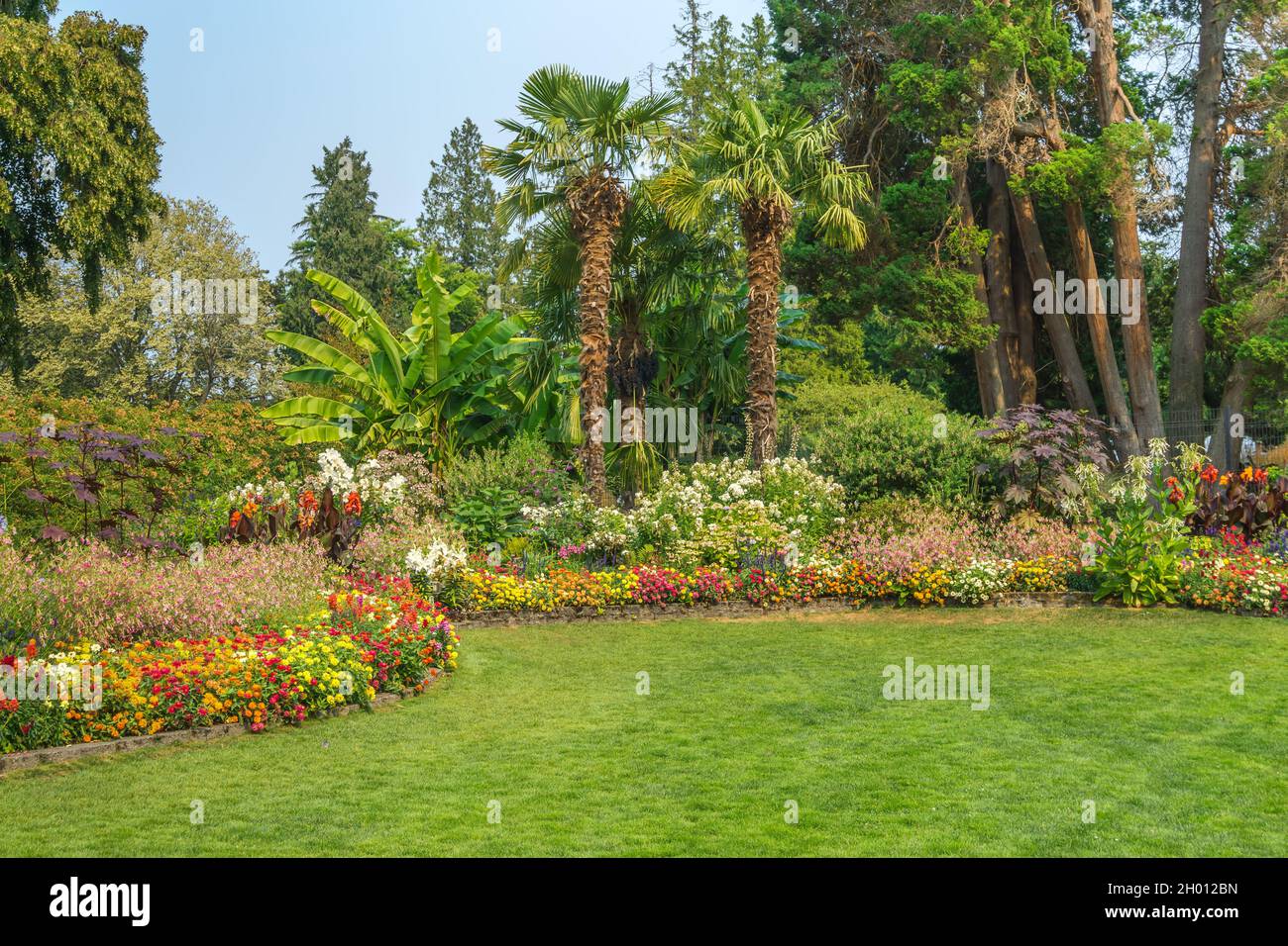 A cluster of various flowers at Point Defiance Park in Tacoma ...