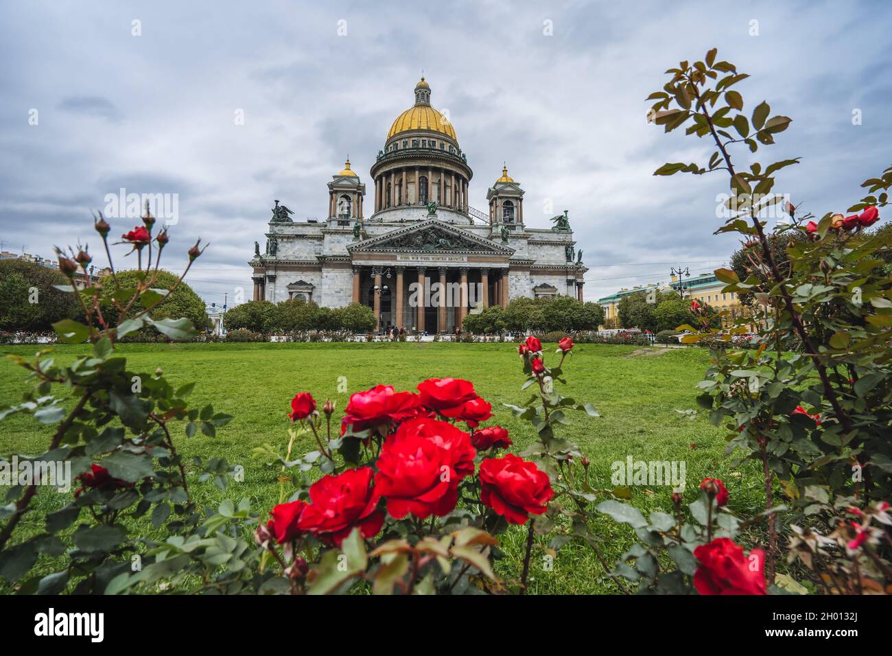 Saint Isaac's Cathedral and bushes of red roses. Saint Petersburg ...