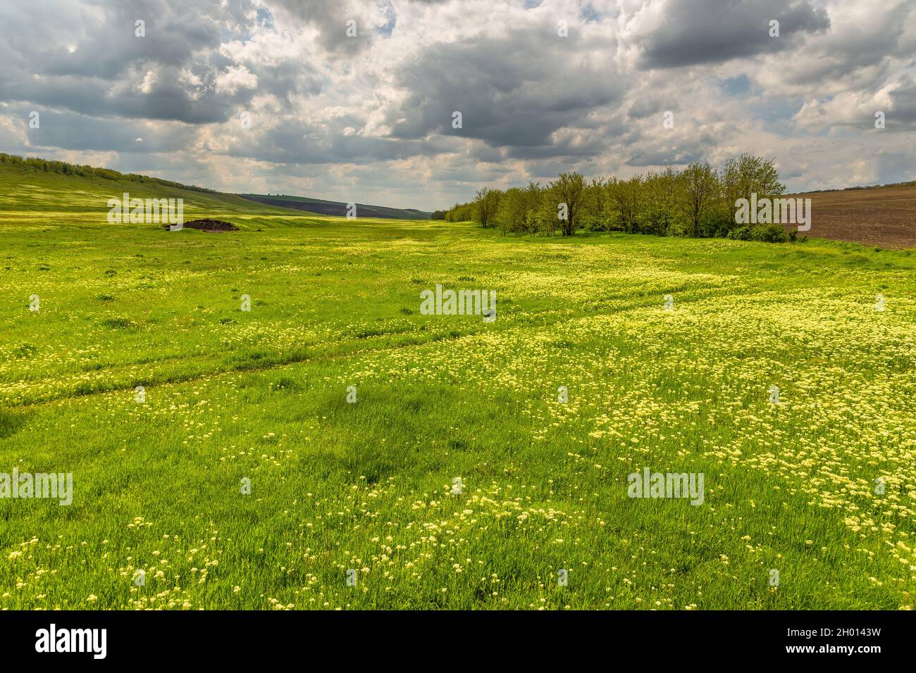 Farmlands and meadows in the Moldavian countryside. Spring season ...