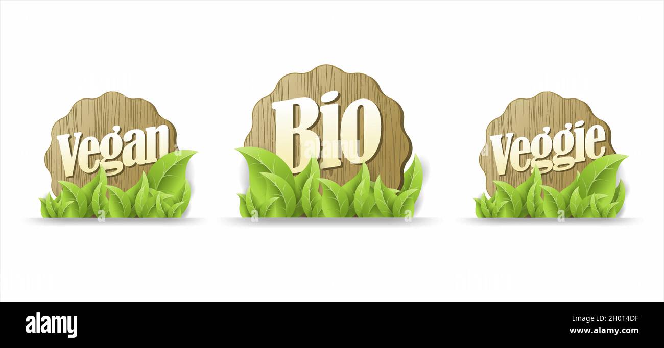 Bio, Vegan, veggie Lables. Vector Illustration Collection Stock Vector ...