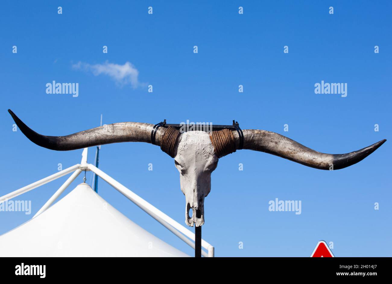 Horse skull pole hi-res stock photography and images - Alamy