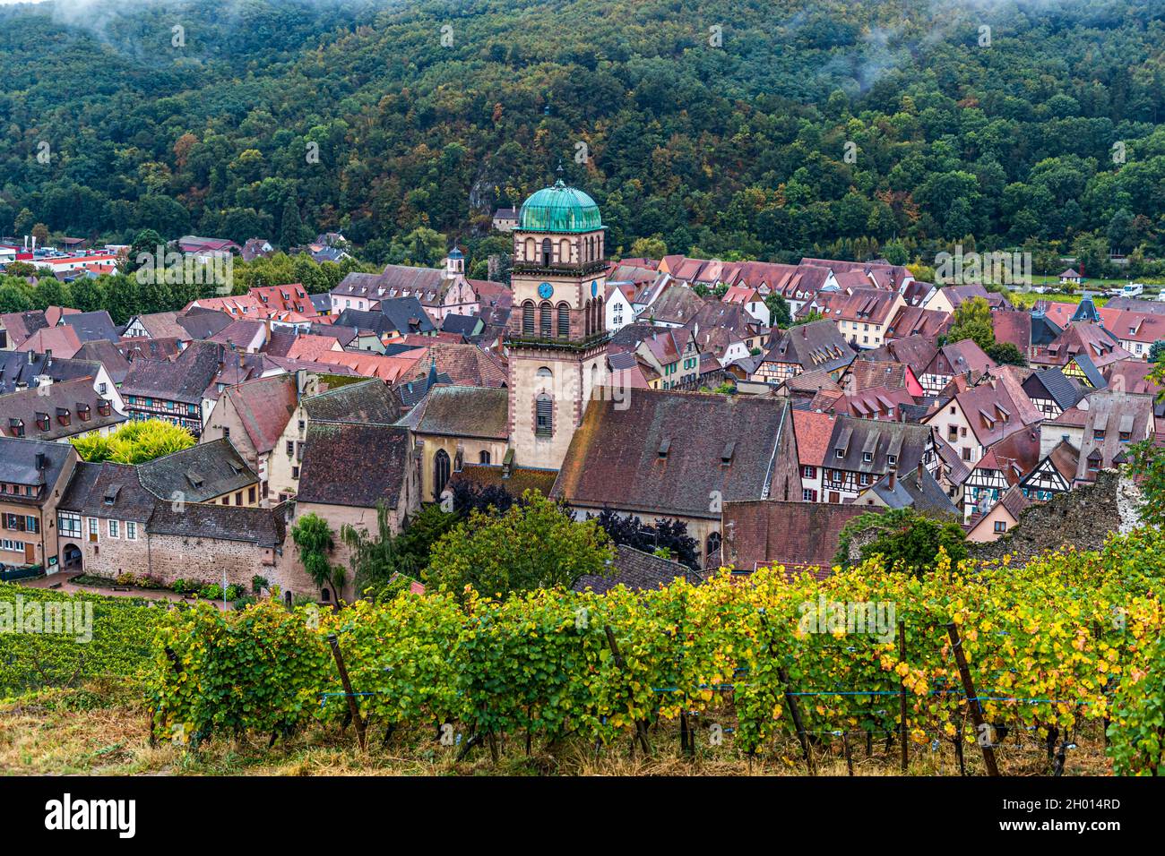 Vineyards and half-timbered houses characterize Kaysersberg in Alsace ...