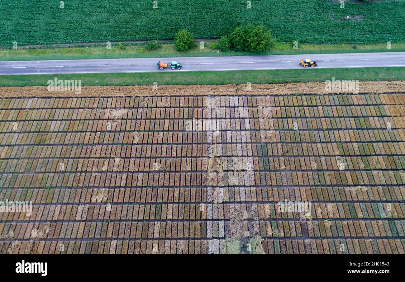 Aerial image of tractor driving beside agricultural field with ...