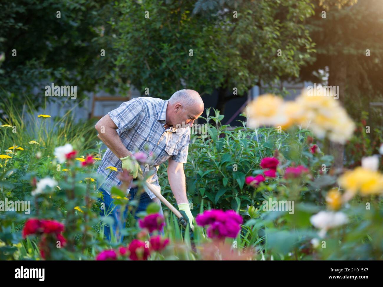 Man hoeing hi-res stock photography and images - Alamy