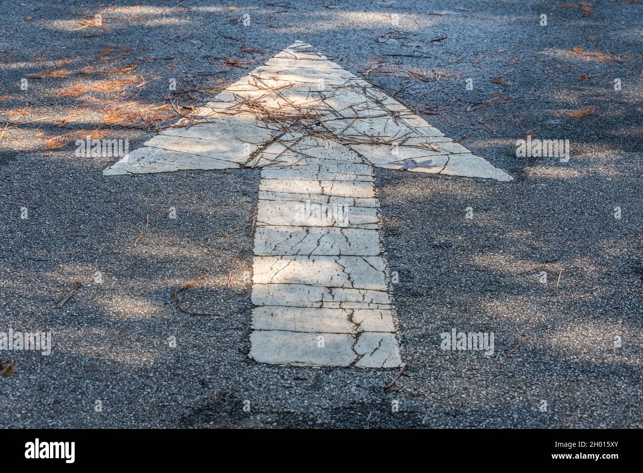Large white forward directional arrow on the wet asphalt in the shade ...