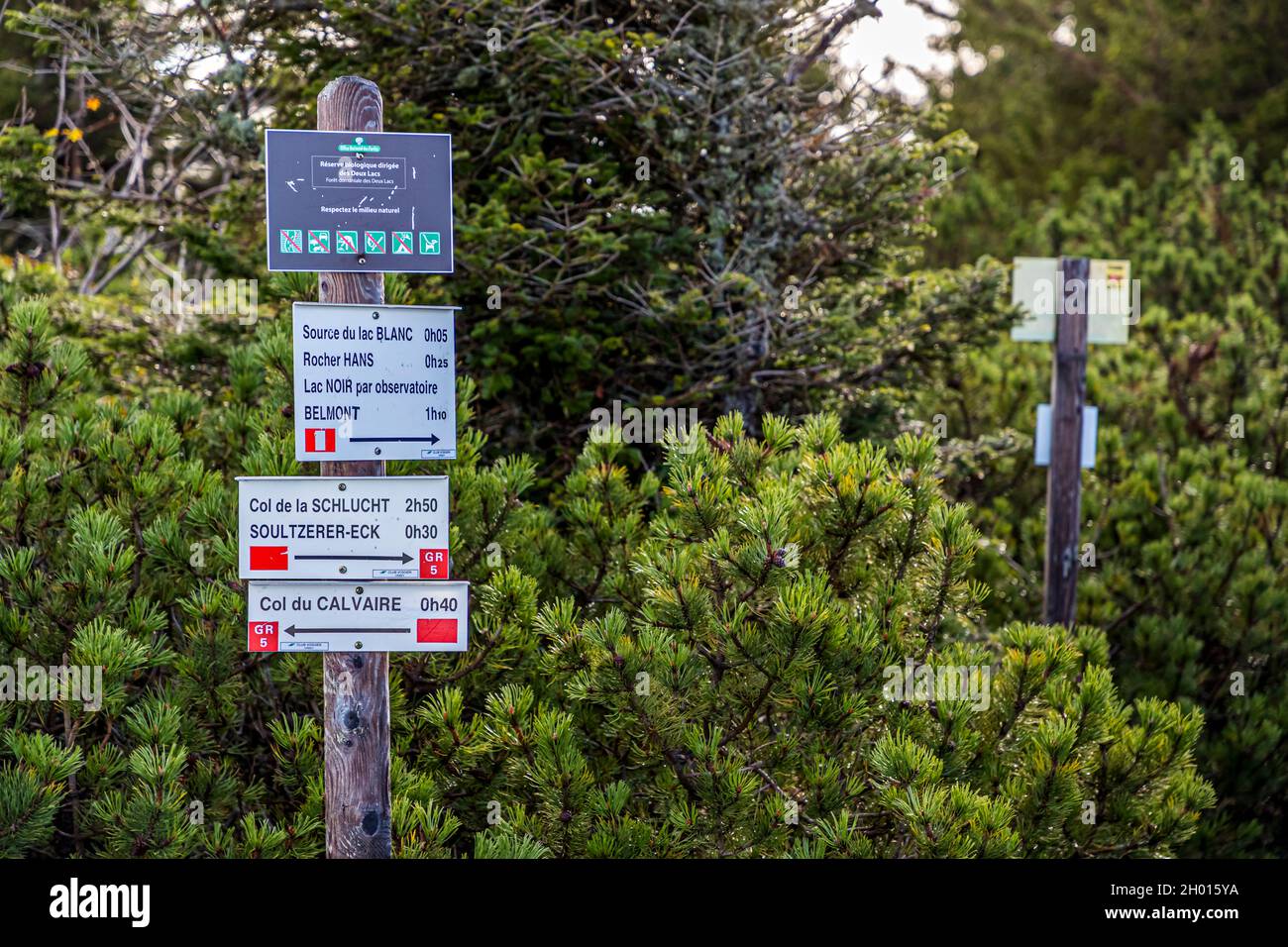 Signs for hikers in the Vosges Mountains near Plainfaing, France. In ...