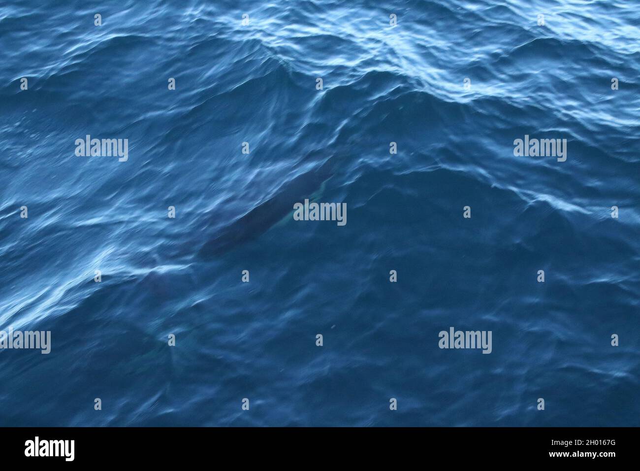 A horizontal background of blue wavy ocean water Stock Photo - Alamy