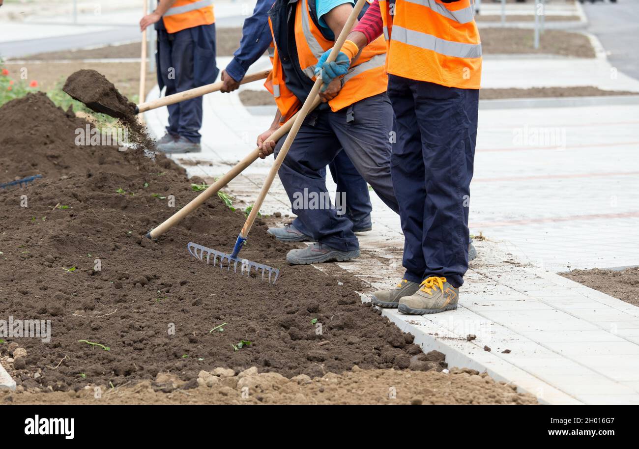 Construction workers leveling ground for landscaping beside roadworks ...