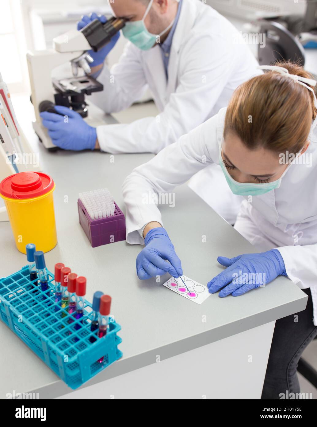 Team of experienced biologists working on samples in laboratory Stock ...