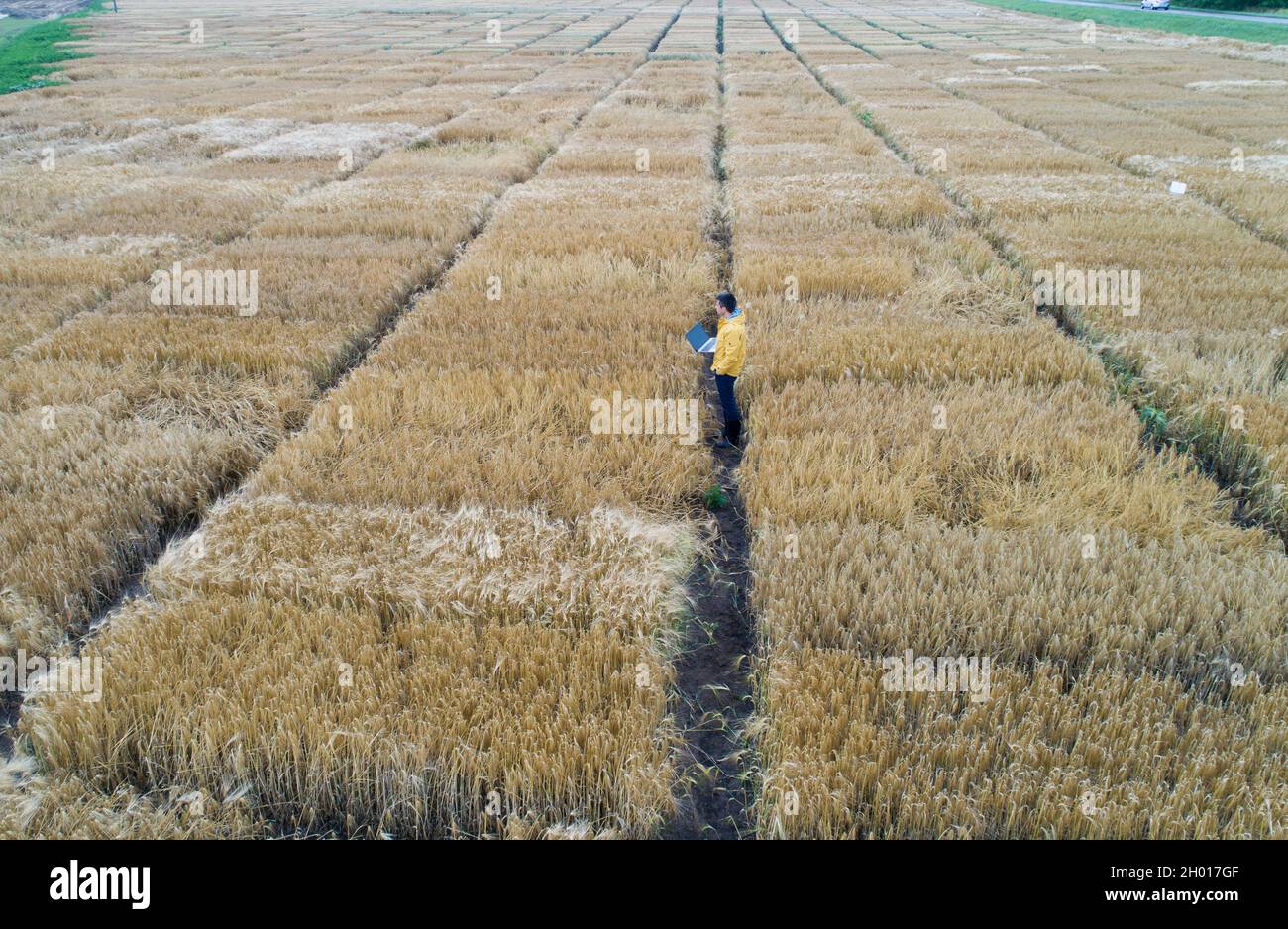 Test plot hi-res stock photography and images - Alamy