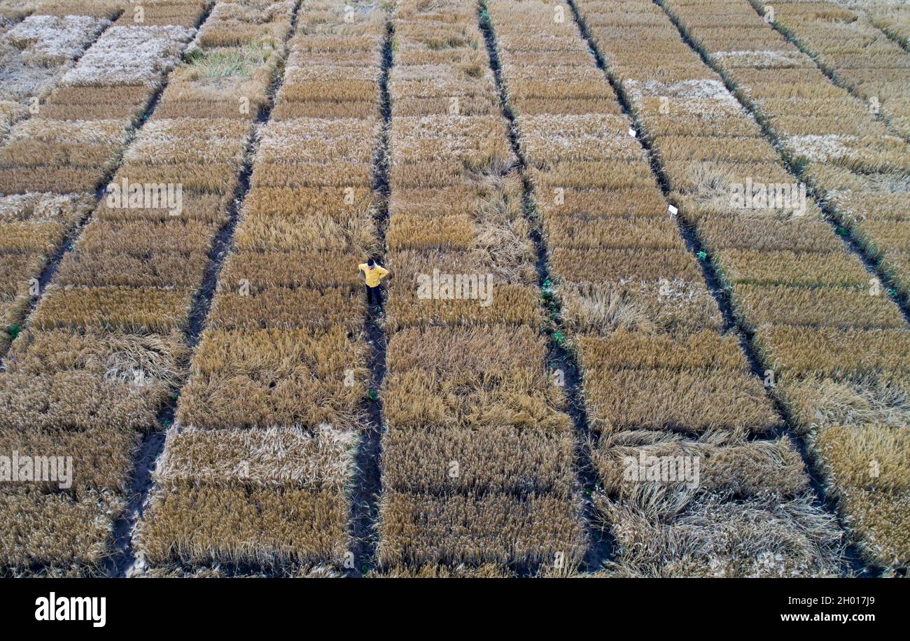 Plot field hi-res stock photography and images - Alamy