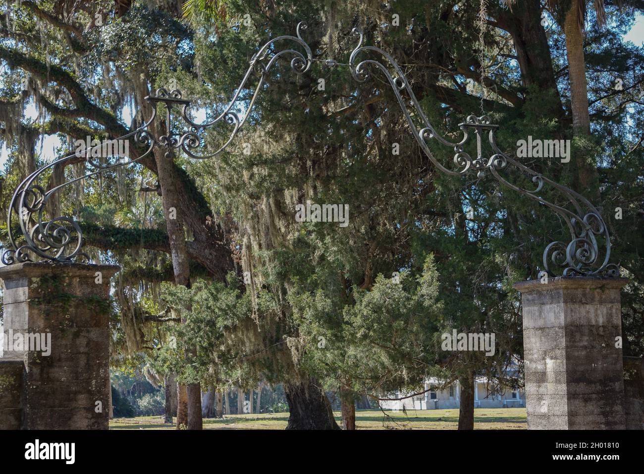 Cumberland Island, Georgia, USA: The gate of Dungeness, a ruined ...