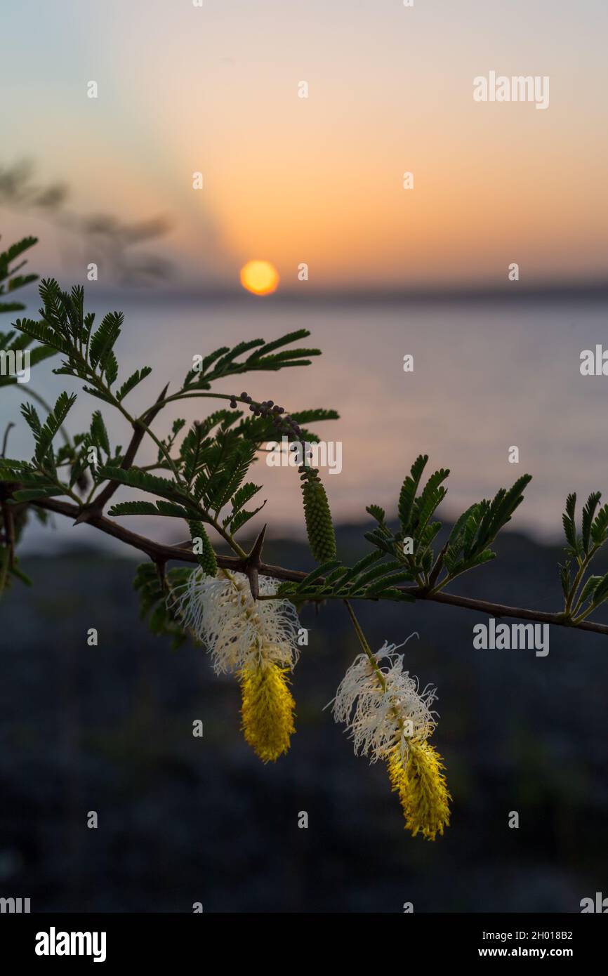Beautiful warm nature scene hi-res stock photography and images - Alamy