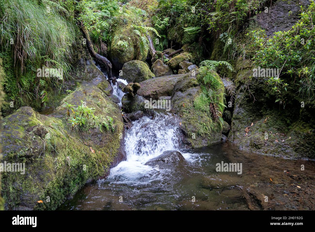 Mini waterfall in Madeira Island Stock Photo - Alamy