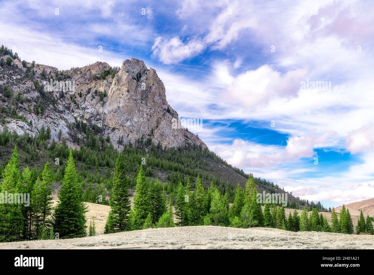 Rocky mountain peak trees hi-res stock photography and images - Alamy