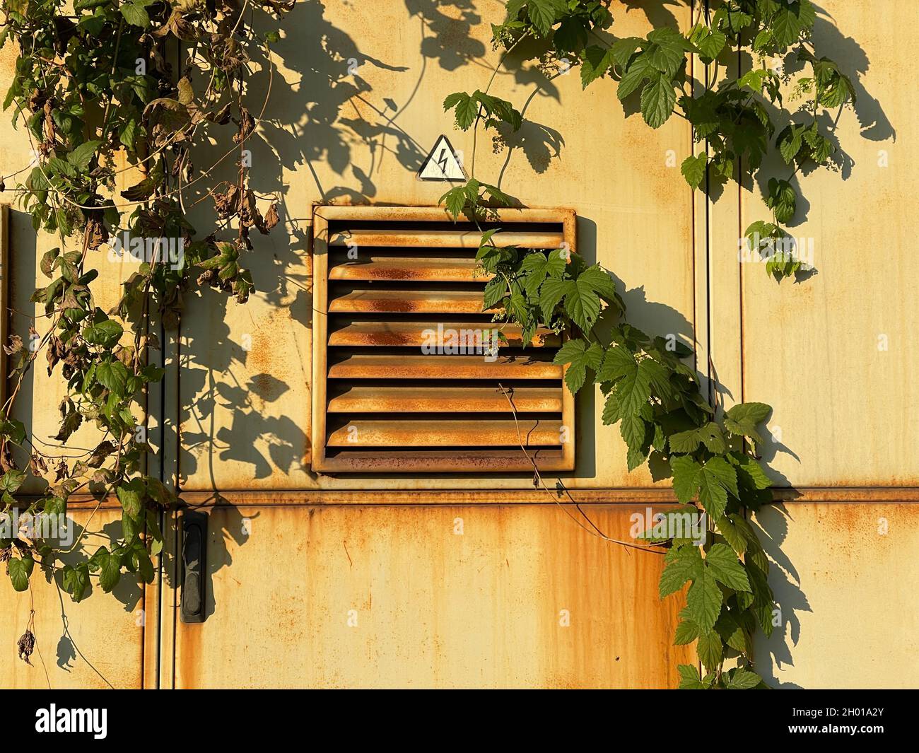 Ivy hatch hi-res stock photography and images - Alamy