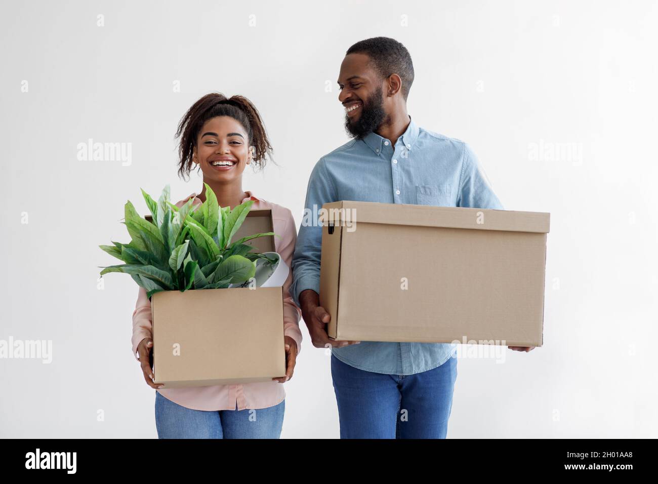 Glad young black husband and wife hold cardboard boxes with potted ...