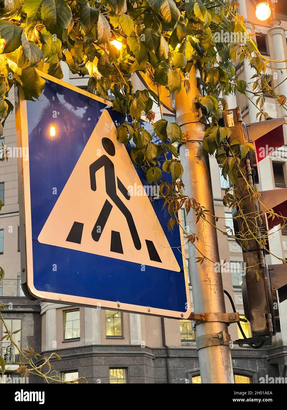 Vertical shot sidewalk square hi-res stock photography and images - Alamy