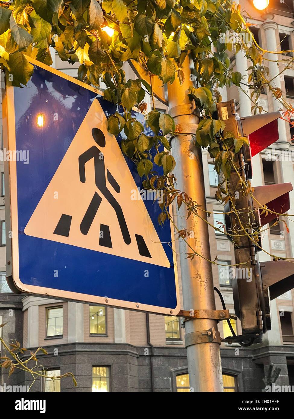Pedestrian crosswalk sign in the leaves and cozy lights Stock Photo - Alamy