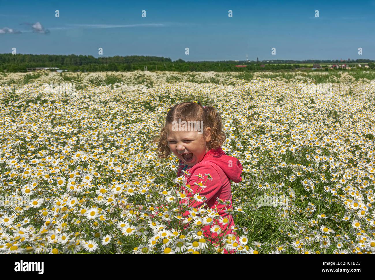 Child in blooming field hi-res stock photography and images - Alamy