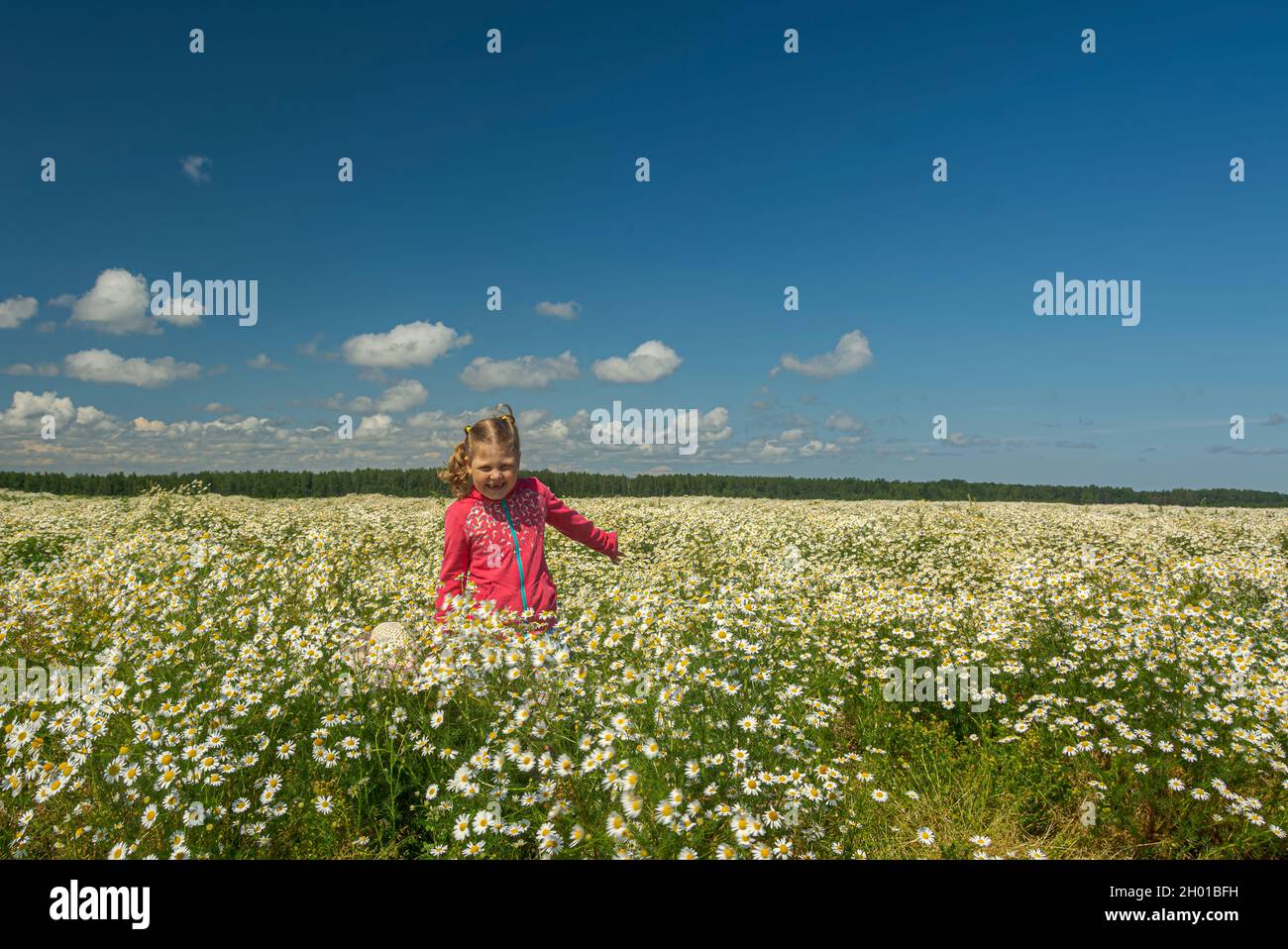 Girl in a field of flowers hi-res stock photography and images - Alamy