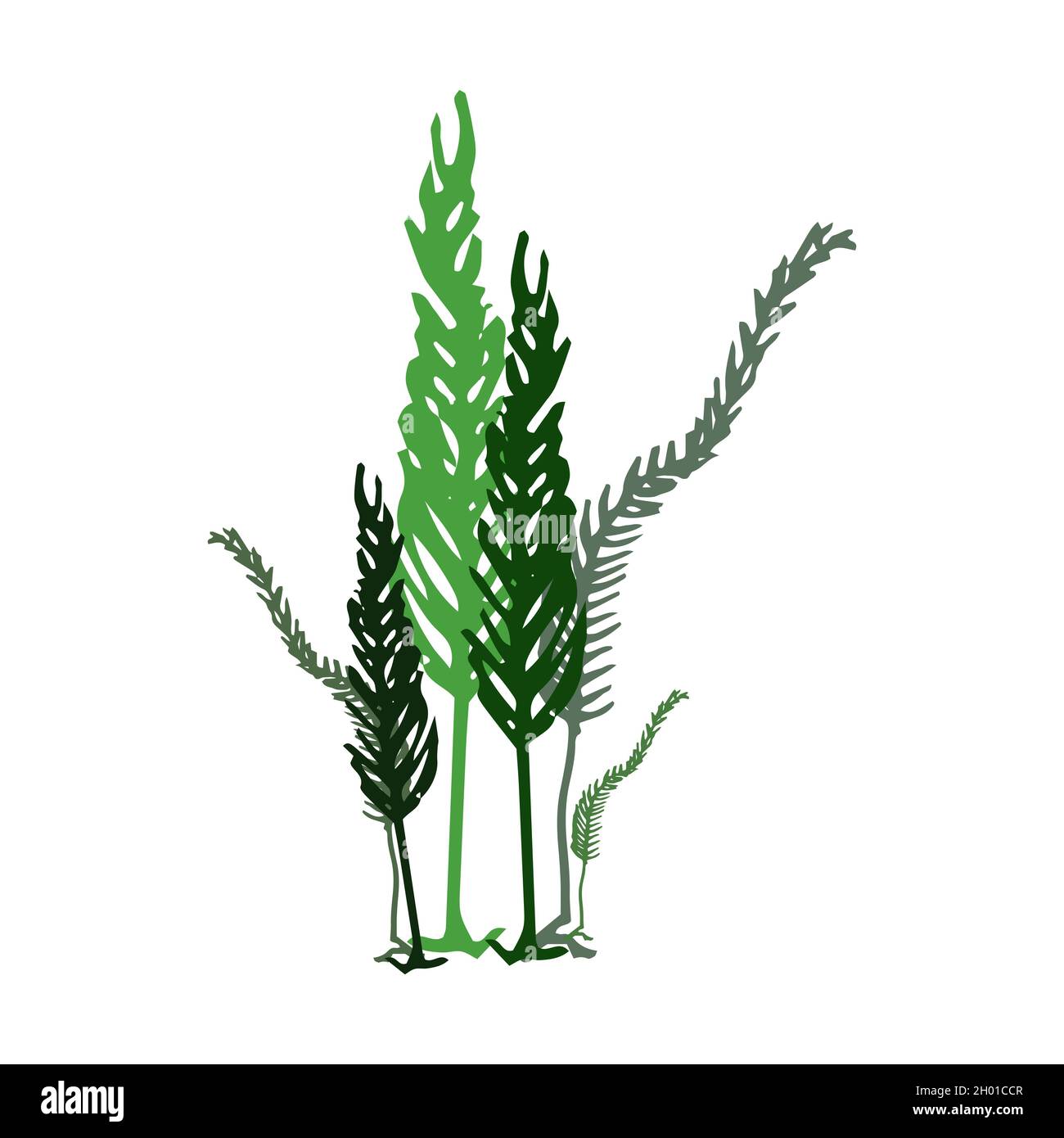 Palm leaf ferns Stock Vector Images - Alamy