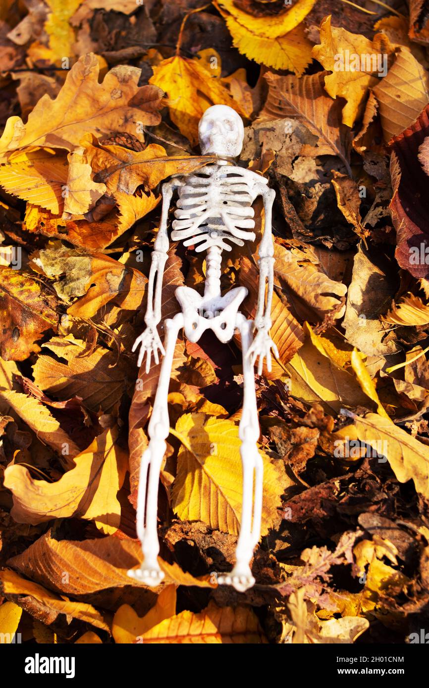 Ghost among yellow hi-res stock photography and images - Alamy