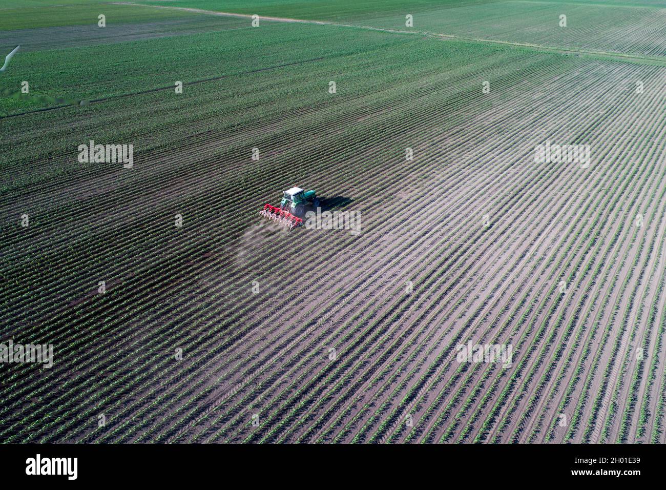 Aerial image of tractor sowing land with corn seeds in spring time at ...